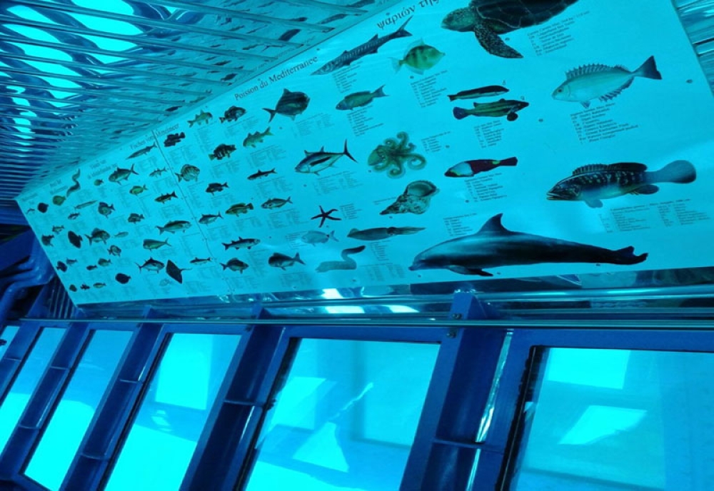 Creta Semi Submarine, Boat Tour with Nautilus in Agios Nikolaos